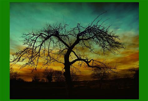 Zebra Barcode Scanner Common Troubleshooting