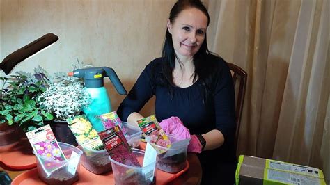 Как посадить многолетние цветы из семян 07 12 2024 Youtube