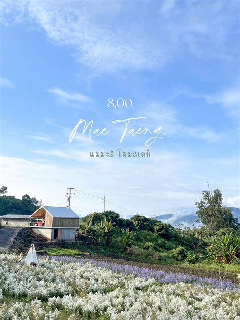 รีวิวที่พัก อ แม่แตง เชียงใหม่ 🏞⛺️ แกลเลอรีที่โพสต์โดย 爪丨ㄥㄥ มิล Lemon8