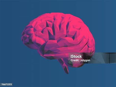 파란색 Bg에 격리 된 낮은 폴리 뇌 그림 3차원 형태에 대한 스톡 벡터 아트 및 기타 이미지 3차원 형태 개념 과학 Istock