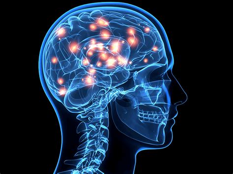 Lo Que Es El Neuromarketing Y Lo Que No Es