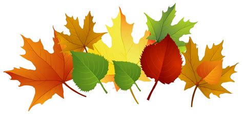 Autumn Leaves Cliparts Coloring Pages Crafts And More