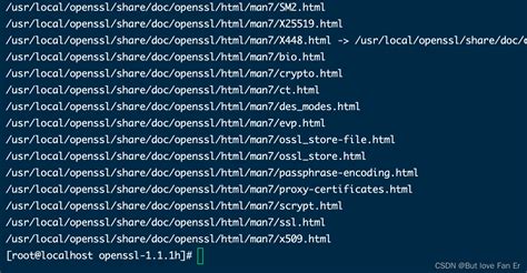 Openssl漏洞升级cve 2020 1967 Csdn博客