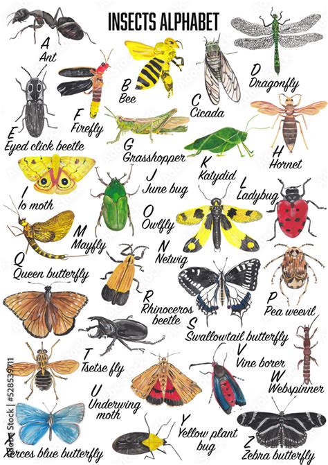 Free Alphabet Bugs Printable Cute Learning Fun Download Free Printable