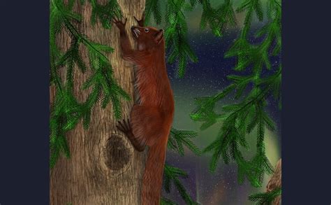 Frühe Primaten Verwandte In Der Arktis Wissenschaft De