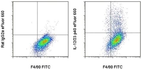 Il 12il 23 P40 Antibody Efluor® 660 50 7123 82