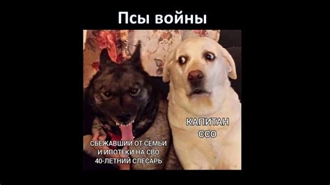 Левый взгляд на левое болото - YouTube