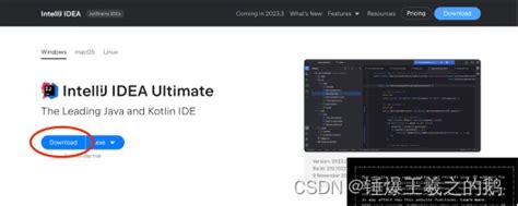 jdk11 idea安装 第一个简单java程序测试 csdn博客