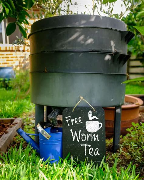 Worm Composting Everything You Need To Get Started Yuzu Magazine