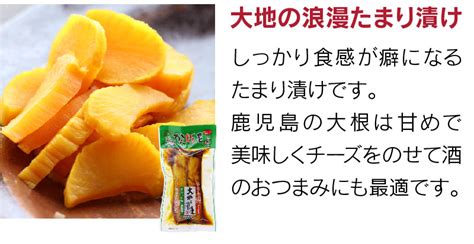 【楽天市場】漬物 選べる 漬け物 2種 送料無料 ＜メール便＞ つけ物 大根 寒干し 割干し 昆布 たまり漬け やぐら大根 ポイント消化