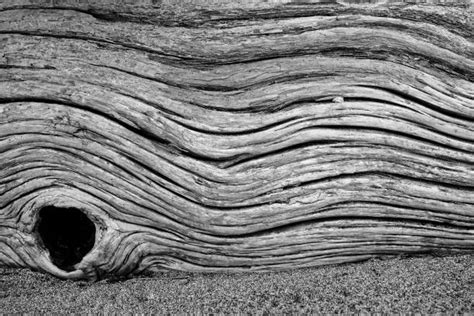 780 Motueka Foto Foto Stok Potret And Gambar Bebas Royalti Istock