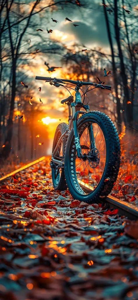 Bicycle On Autumn Leaf Covered Trail During Dramatic Sunset With Flying