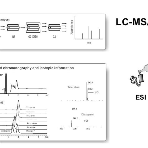 Schematic Overview Of LC MSMS Device Using Electro Spray Injection