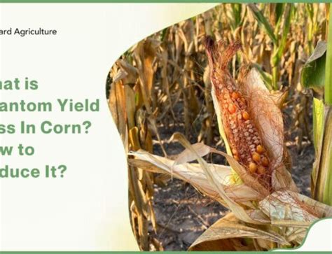 How To Integrate Ignition Scada With Sql Databases For Custom Reports Innorobix