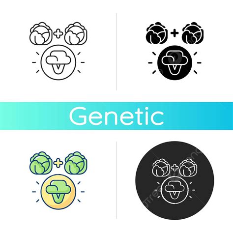 Selective Breeding Icon Vector Selective Experiment Vector Vector