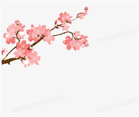 樱花PNG图片素材下载 樱花PNG 熊猫办公