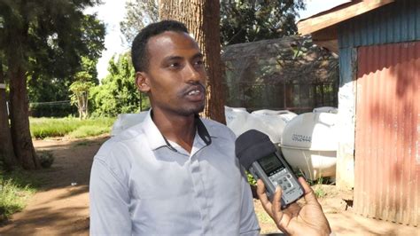 What Is Haramaya University Doing To Create A Drought Resilient