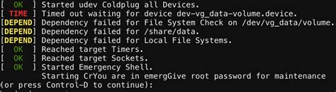 Linux Mount Lvm Device Server Fault