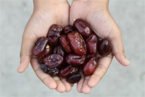 Inilah 6 Manfaat Mengonsumsi Buah Kurma Saat Berbuka Puasa Salah