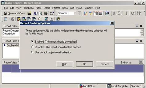 Kb13723 What Is The Difference Between Blank Report And Empty Report In Microstrategy Developer