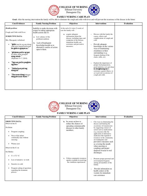 Fncp Final Pdf Hygiene Common Cold