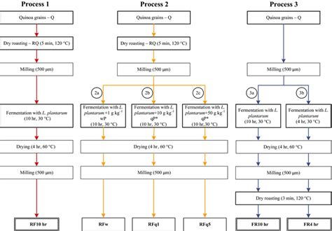 Description Of Quinoa Processing The Processes Included Dry Roasting Download Scientific