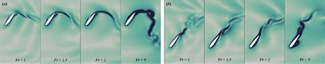 Contours Of Density Gradient Magnitude Schlieren At Two Instants