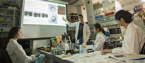 Postgraduate Programs The Division Of Life Science At Hkust