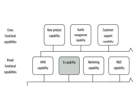 The Hierarchy Of Capabilities And The Position Of Is Capability Download Scientific Diagram