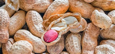 Did You Know That There Are 4 Different Types Of Peanuts