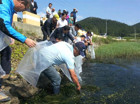 진도 경제 활성화를 위한 수산자원 방류 일요신문