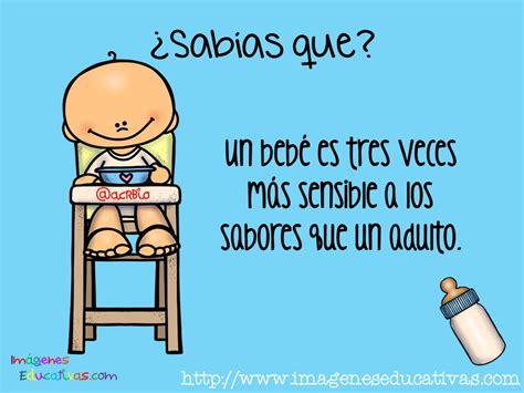 10 Cosas Que No Sabías De Tu Bebé 1 Imagenes Educativas