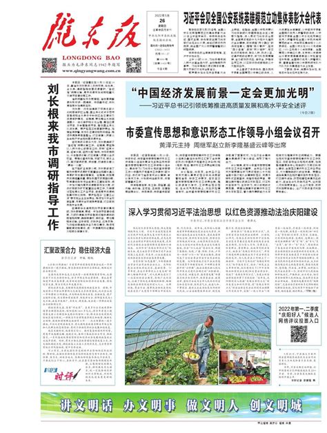 陇东报