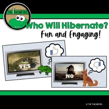 Who Will Hibernate Guessing Game Video And Recording Sheet TPT