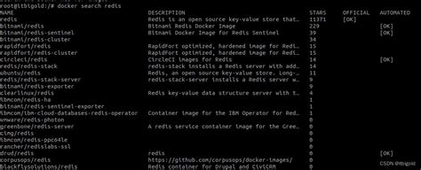 Docker 创建redis容器 Csdn博客