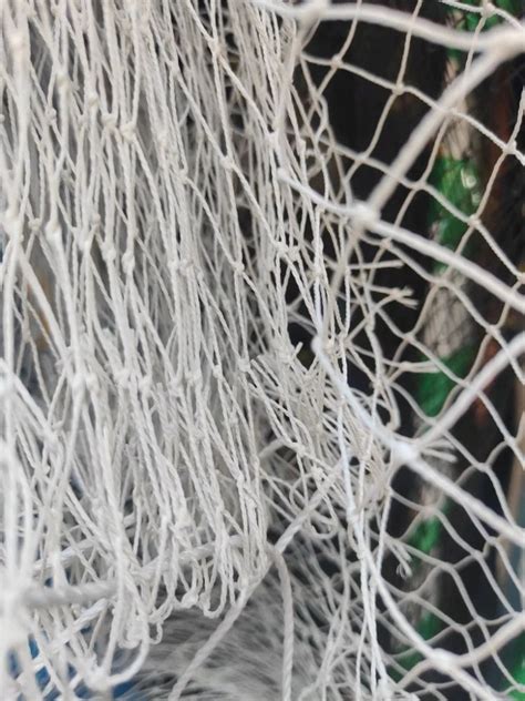 Nylon White Fishing Net At Rs 323kg In Mumbai Id 2849765198255 Nylon White Fishing Net At Rs 323kg In Mumbai Id 2849765198255