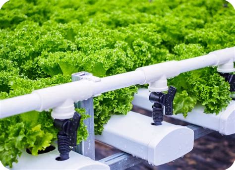 Plant Monitoring System