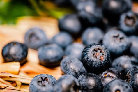 블루 베리 딸기 과일 Pixabay의 무료 사진