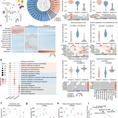Hierarchical Proteome Crosstalk Networks From Ligand Receptor To Tf Tg Download Scientific