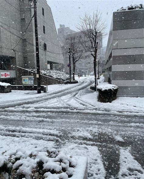 うな雪 今年もあと少しとなりましたが、 皆様のお陰様でうな雪は1年と半年を迎えることができました。 寒い毎日が続きますが、どうぞお風邪にお