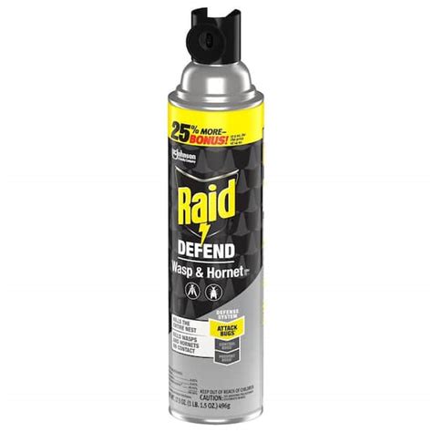 Raid Wasp And Hornet Killer Spray Kills Paper Wasps OFF