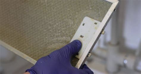 Cleaning Mesh Filter Of Cooker Hood Using Spraying Cleaning Solution Stock Video Video Of