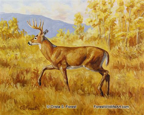 Forest Wildlife Art Deer Oil Paintings Gallery