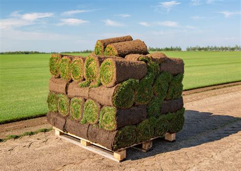 Our Products Genesis Sod Farm