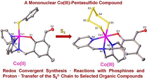 Redox Convergent Synthesis And Reactivity Of A Cobaltiii‐pentasulfido Compound Atta 2023