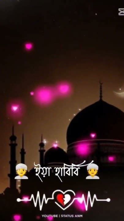 ঈদ মোবারক জানায় সবাইকে 🥰 ️ঈদ মোবারক Islamicvideo ঈদ ঈদের শুভেচ্ছা ঈদুল আযহা ঈদের গান ️🥰 ️