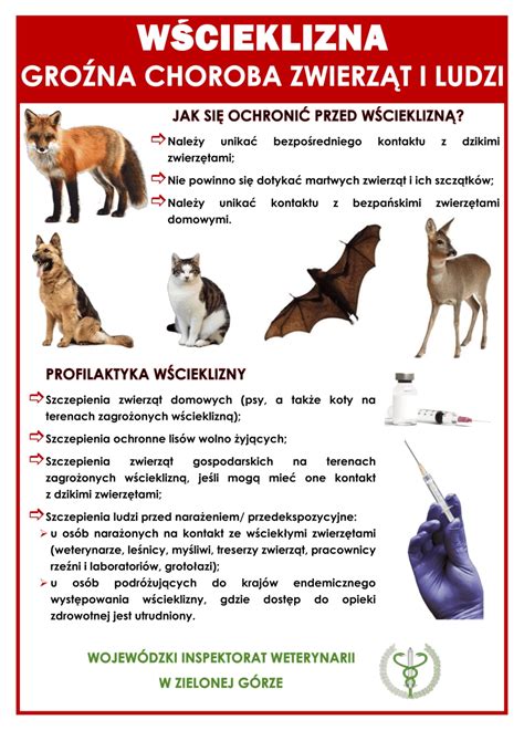 Wojewódzki Inspektorat Weterynarii w Zielonej Górze przypomina WŚCIEKLIZNA groźna choroba
