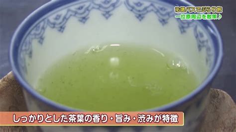 香り・旨み・渋みが特徴の嬉野茶「お茶の嬉野園」｜スポット｜kachi Kachi Plus