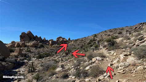 Hike Split Rock Joshua Tree Loop Trail