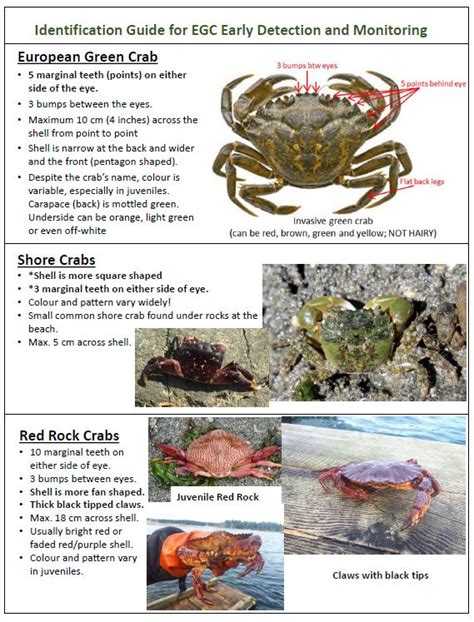 Crab Team Updates Ssisc